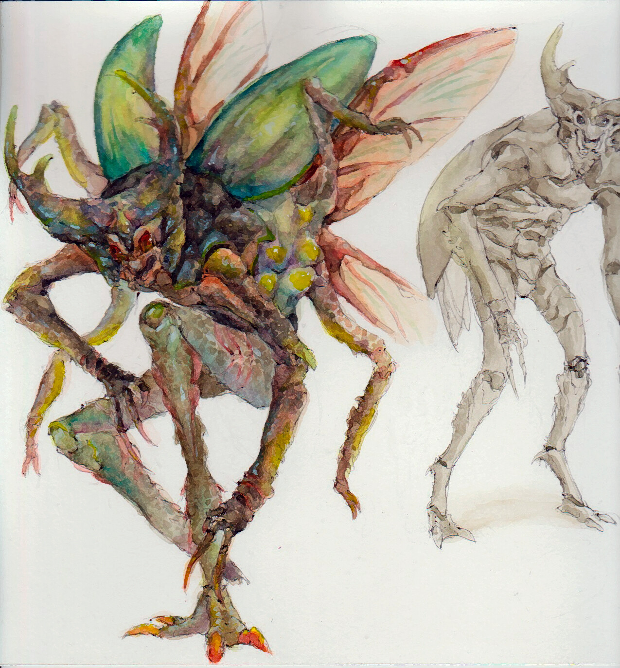ArtStation - Insect creature concept in watercolor