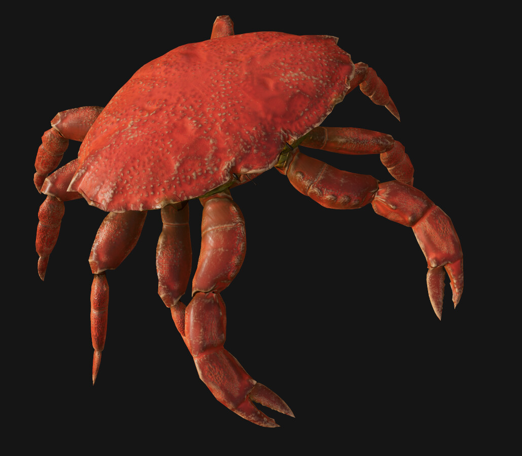 ArtStation - Crab - 3D Model