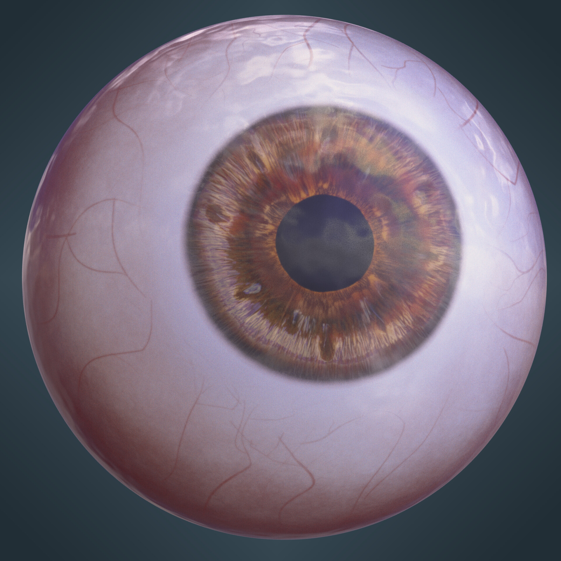 Thomi Castro - Brown eye