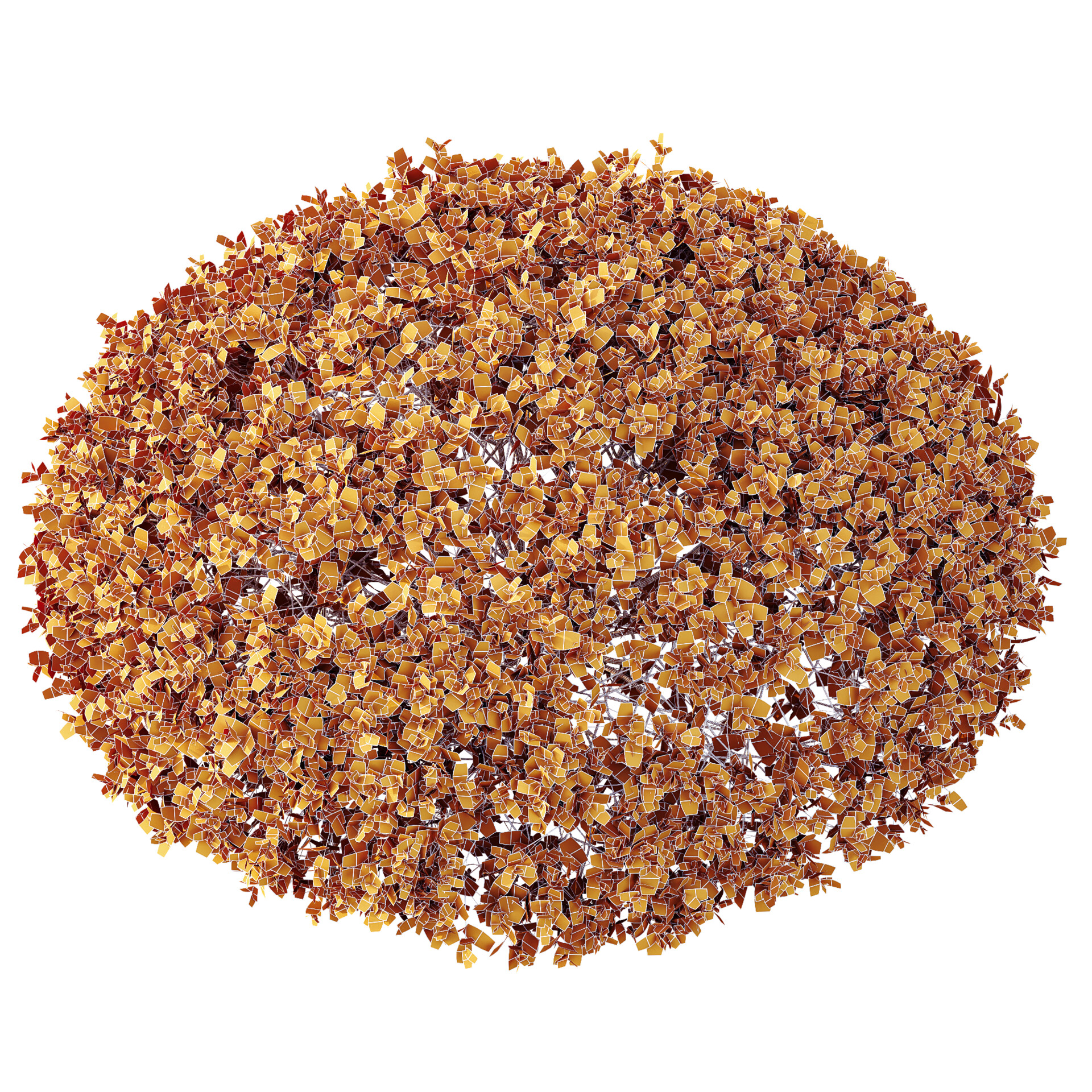 PANDORA Land - AV Plant Pittosporum Tobira Tenuifolium Shrub Buxus ...