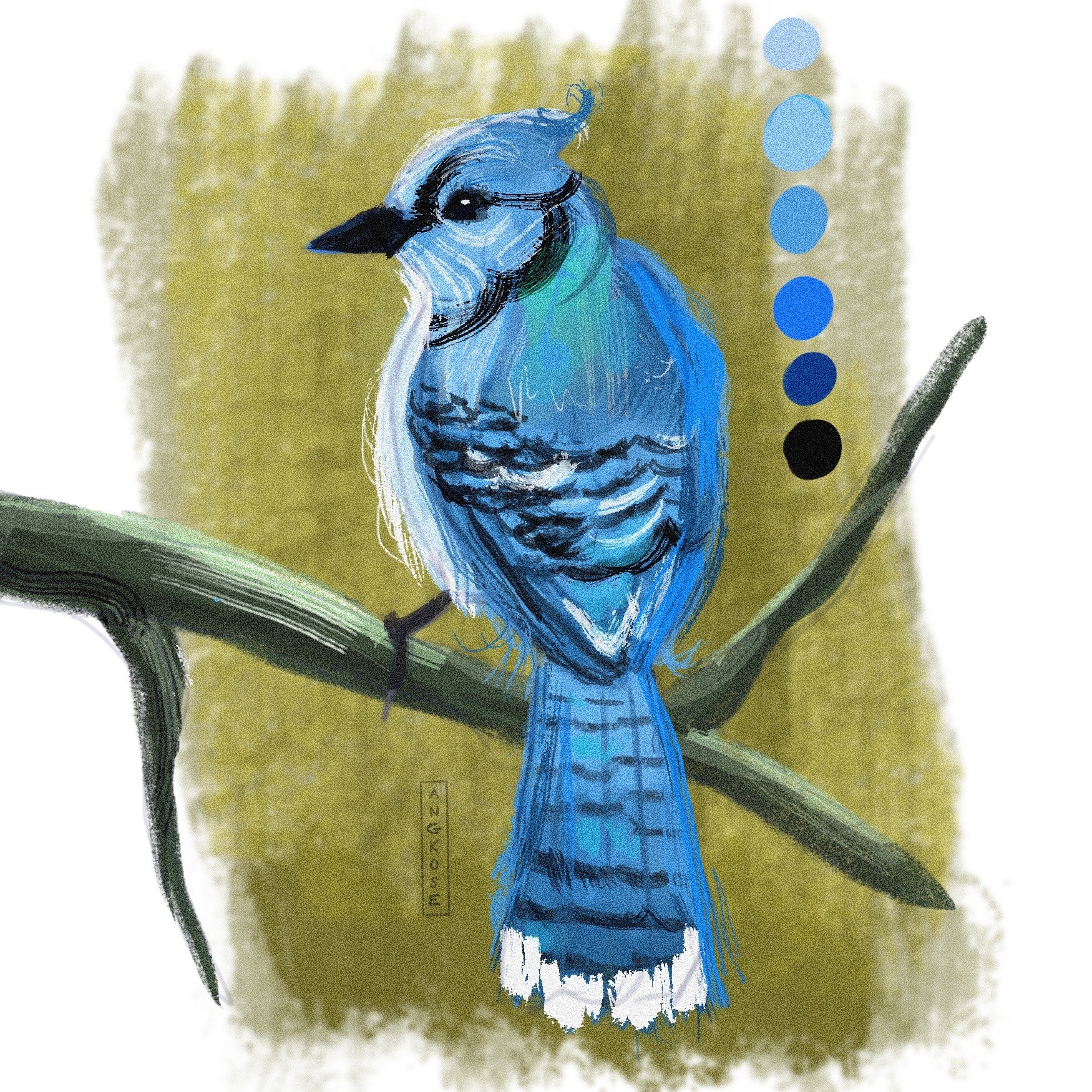 ArtStation - Bird Illustration