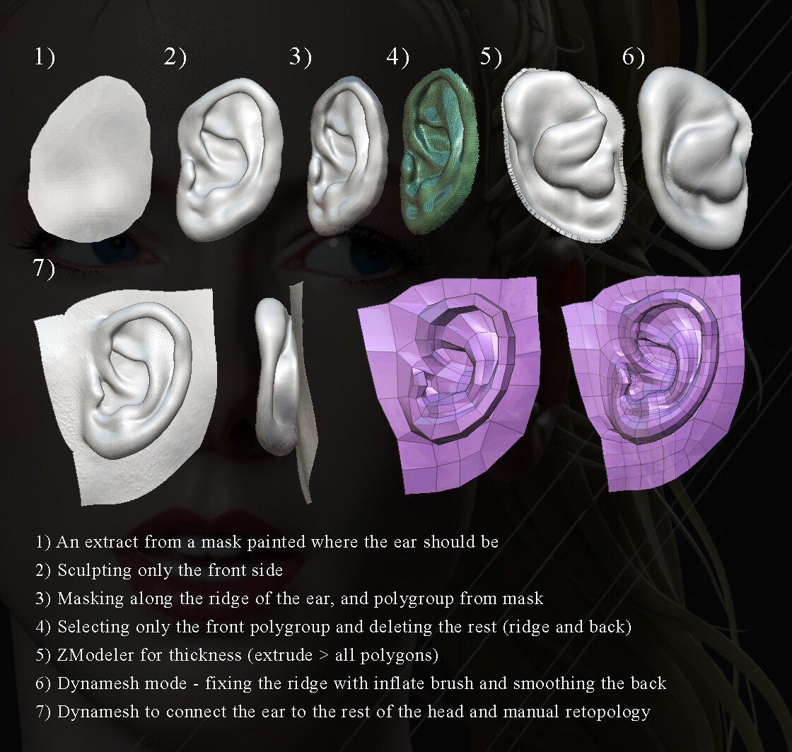 ArtStation - Back of the ear anatomy