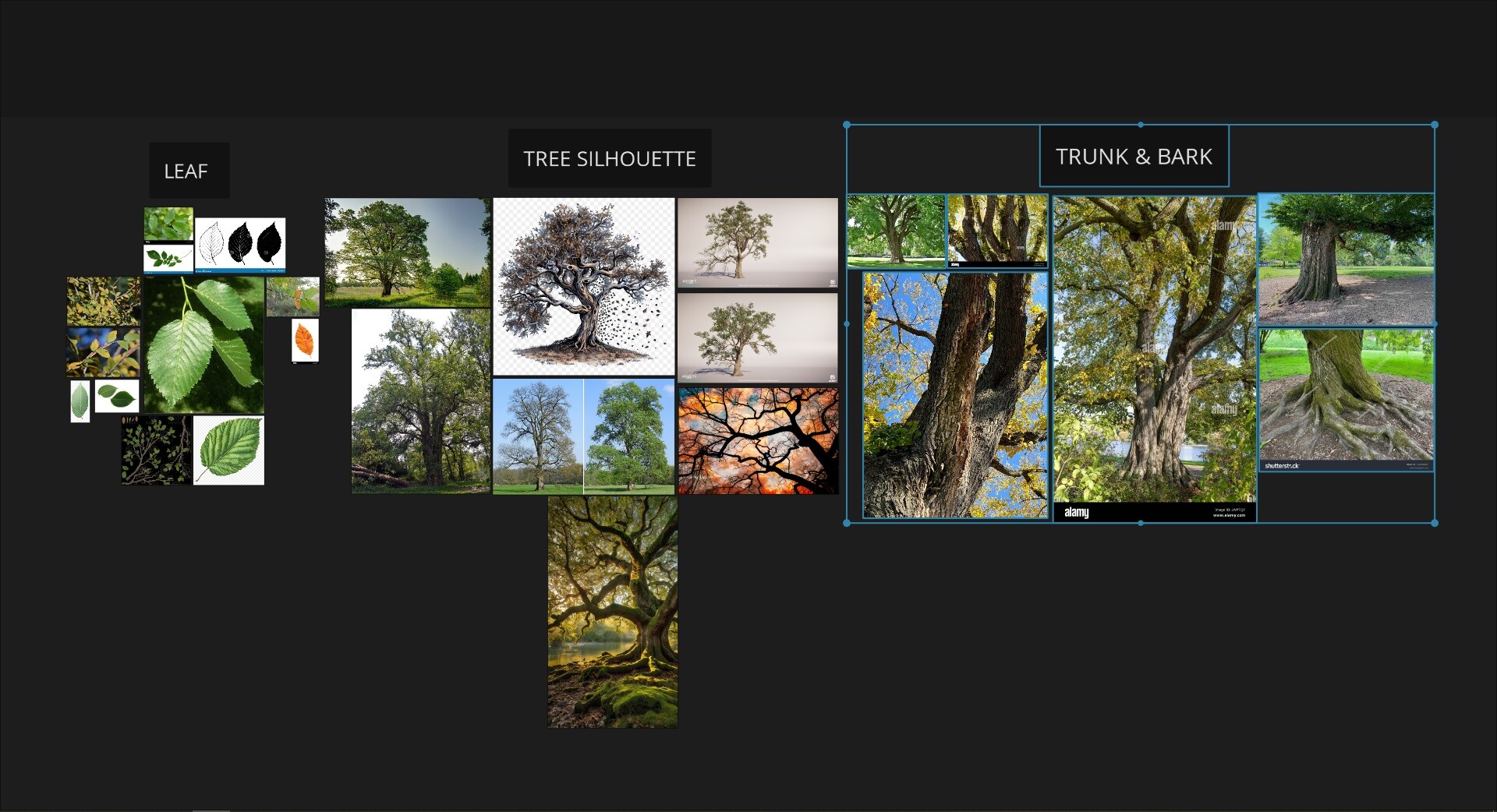 Aadil Sharif - Elm Tree