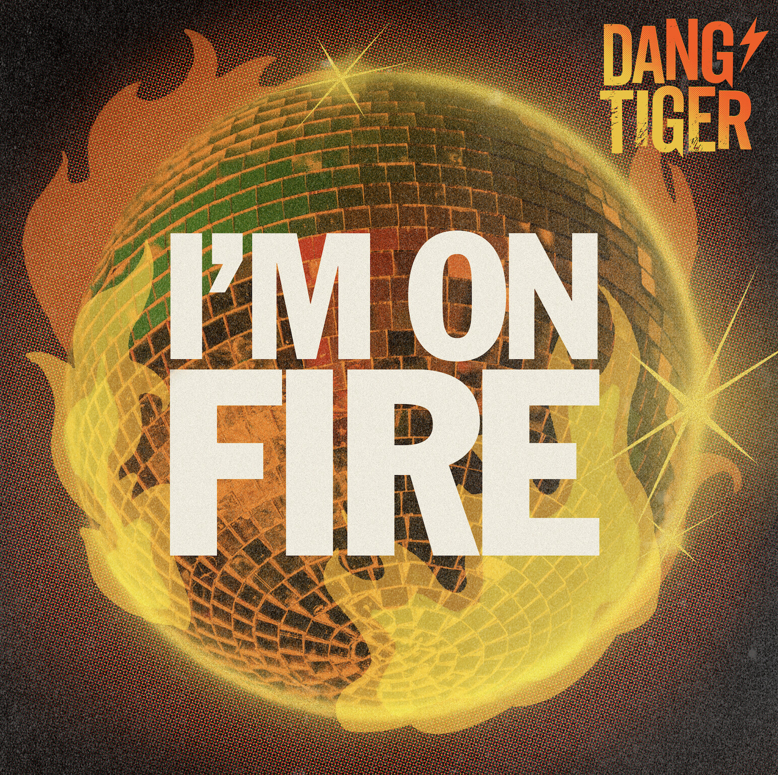 ArtStation - Dang Tiger Album Designs