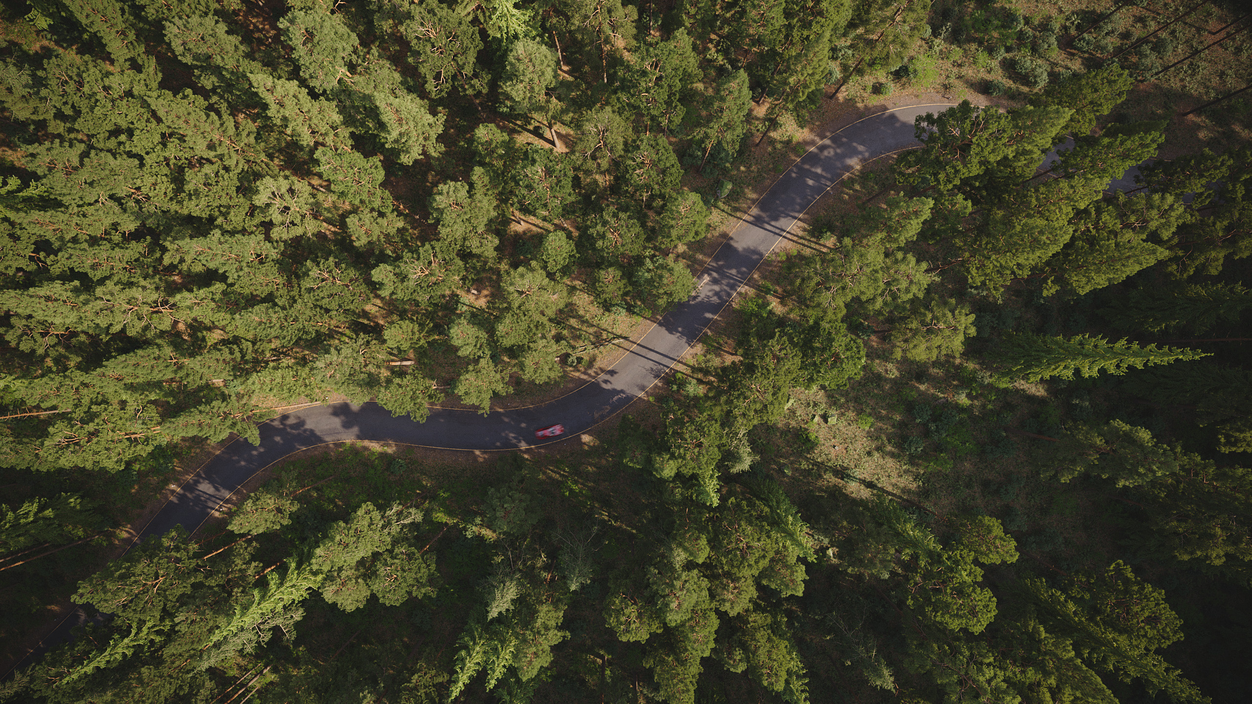 Evermotion Studio - 20th Anniversary Scene - a house in the forest