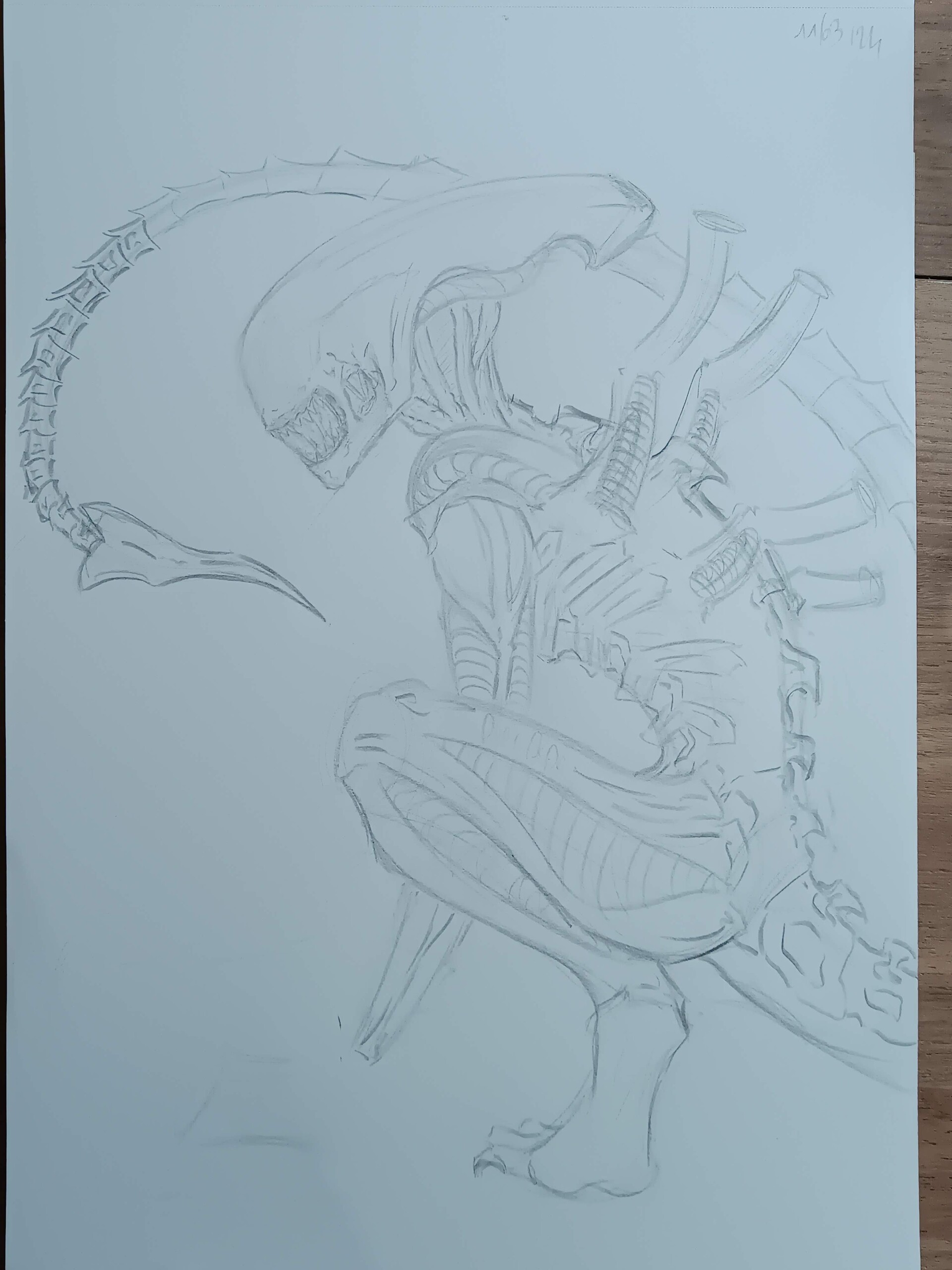 ArtStation - Xenomorph - Sketch (Unfinished)
