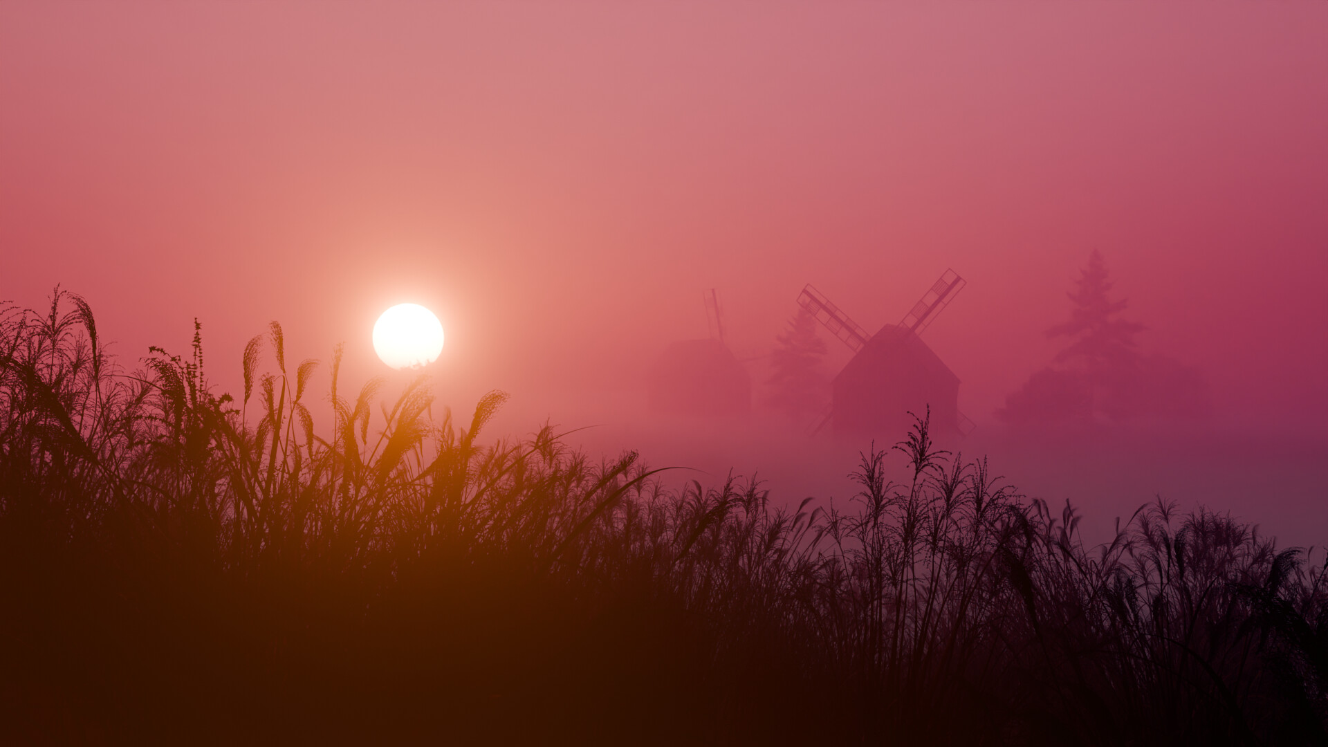 Ahmed-Abdel-Rahman - Blender Environment