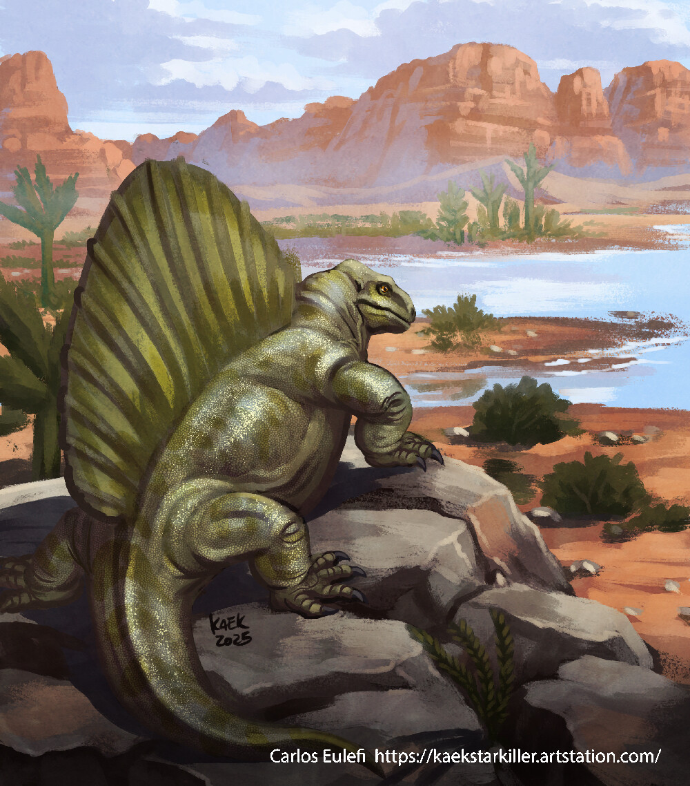 Carlos Eulefi - Edaphosaurus