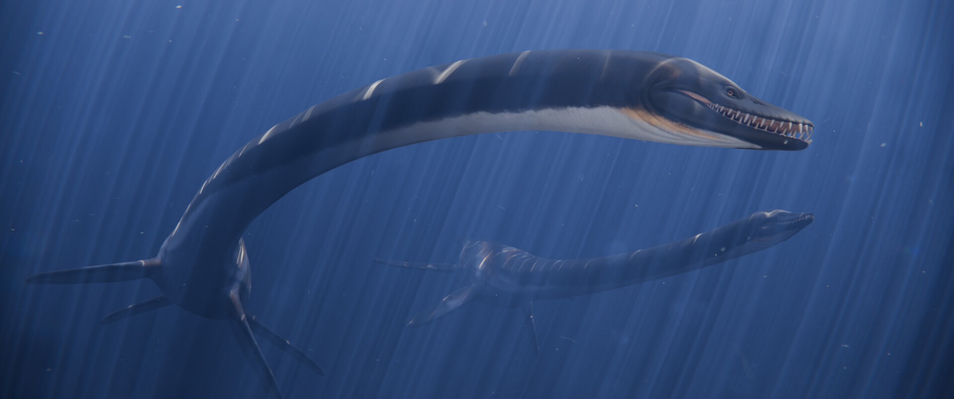 Elasmosaurus - 3D model by Oakyere [ae2e309] - Sketchfab