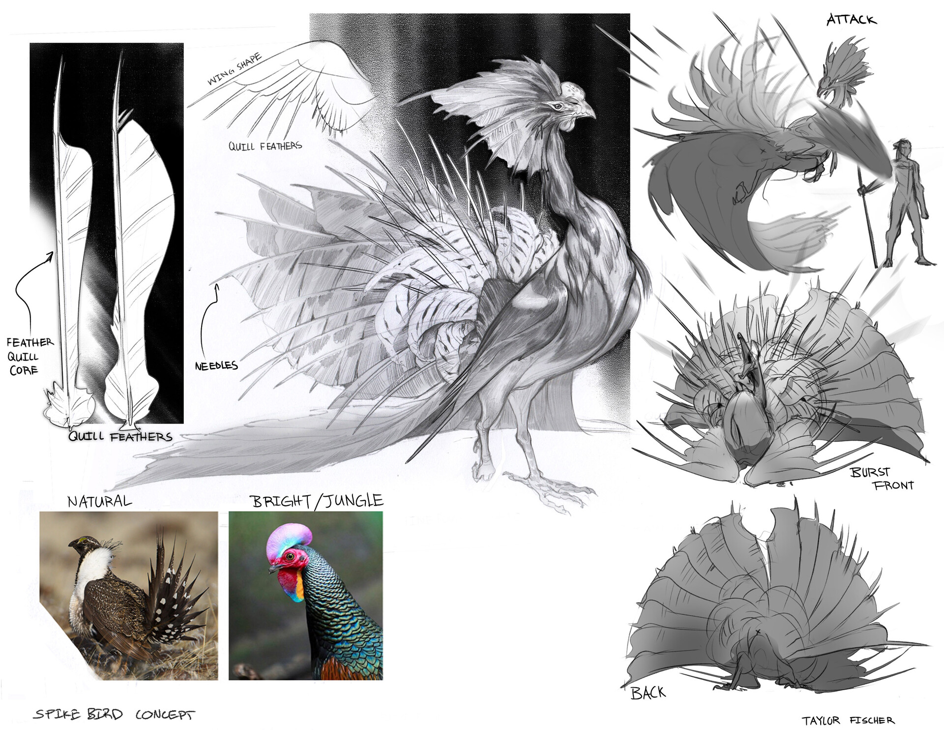 ArtStation - Spike Bird Concept