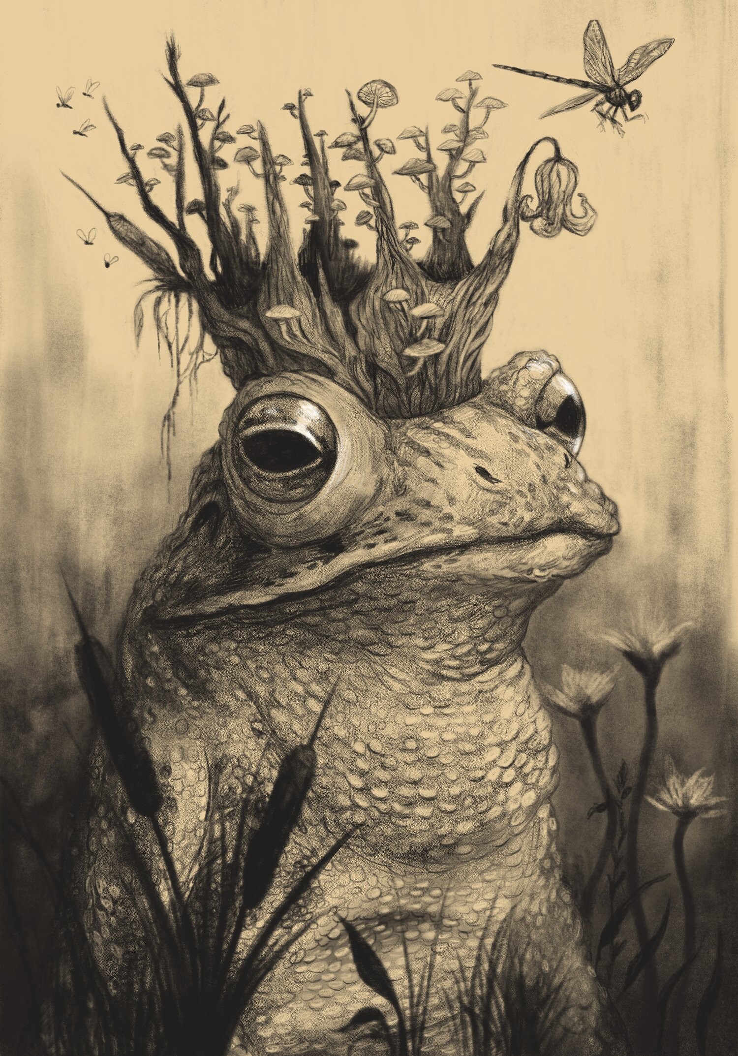 ArtStation - Toad King