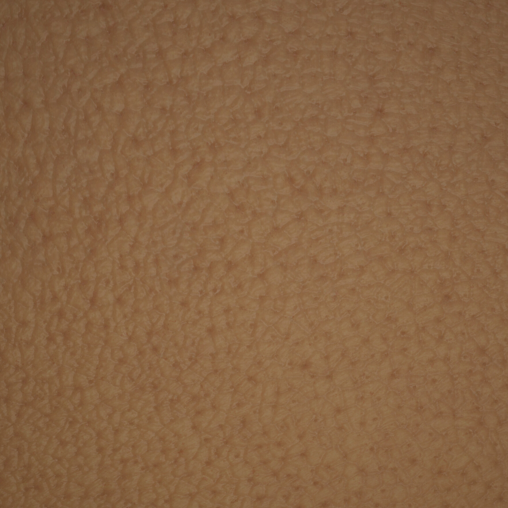 simulated skin texture