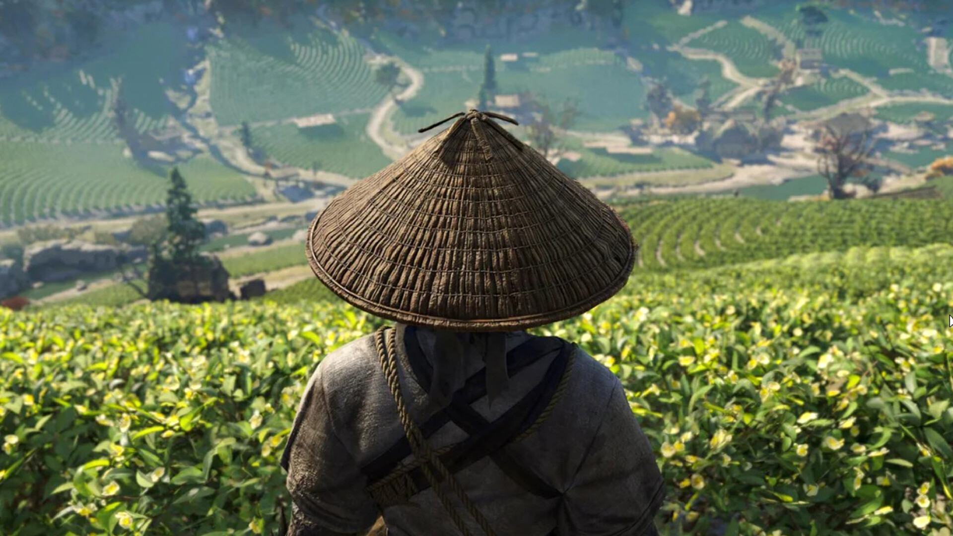 Caroline Couture - Assassin's Creed Shadows - Rice, tea and soy assets