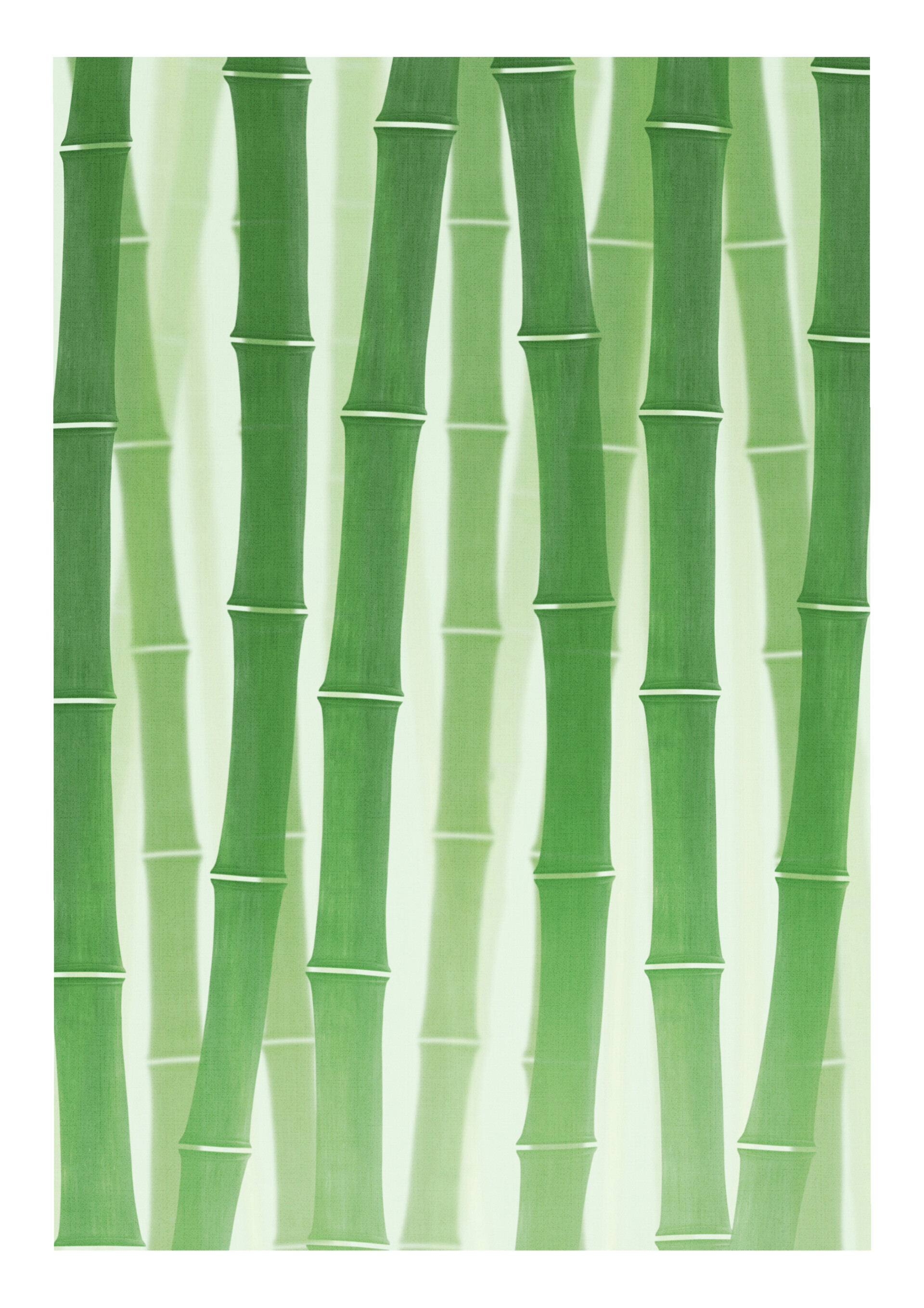 ArtStation - Among the Bamboo