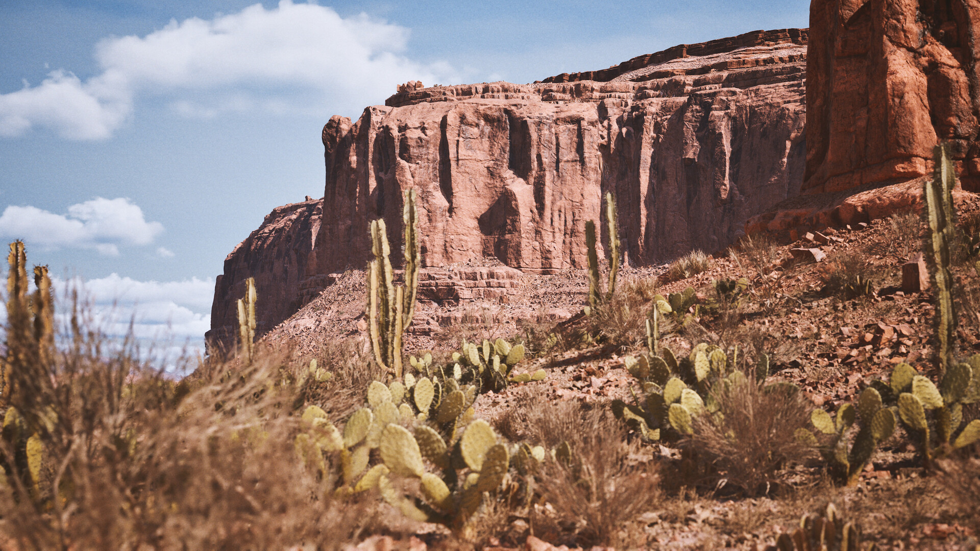 Pasquale Scionti - Canyon Desert Unreal Engine 5.6 Lumen Nanite