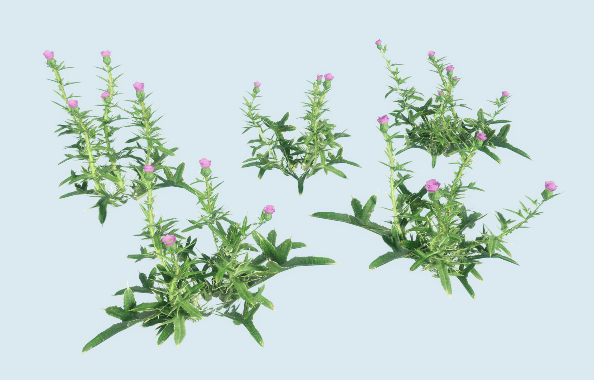 Ashley Lawrence - Warrior Cats Lake Territory - Ground Foliage Assets