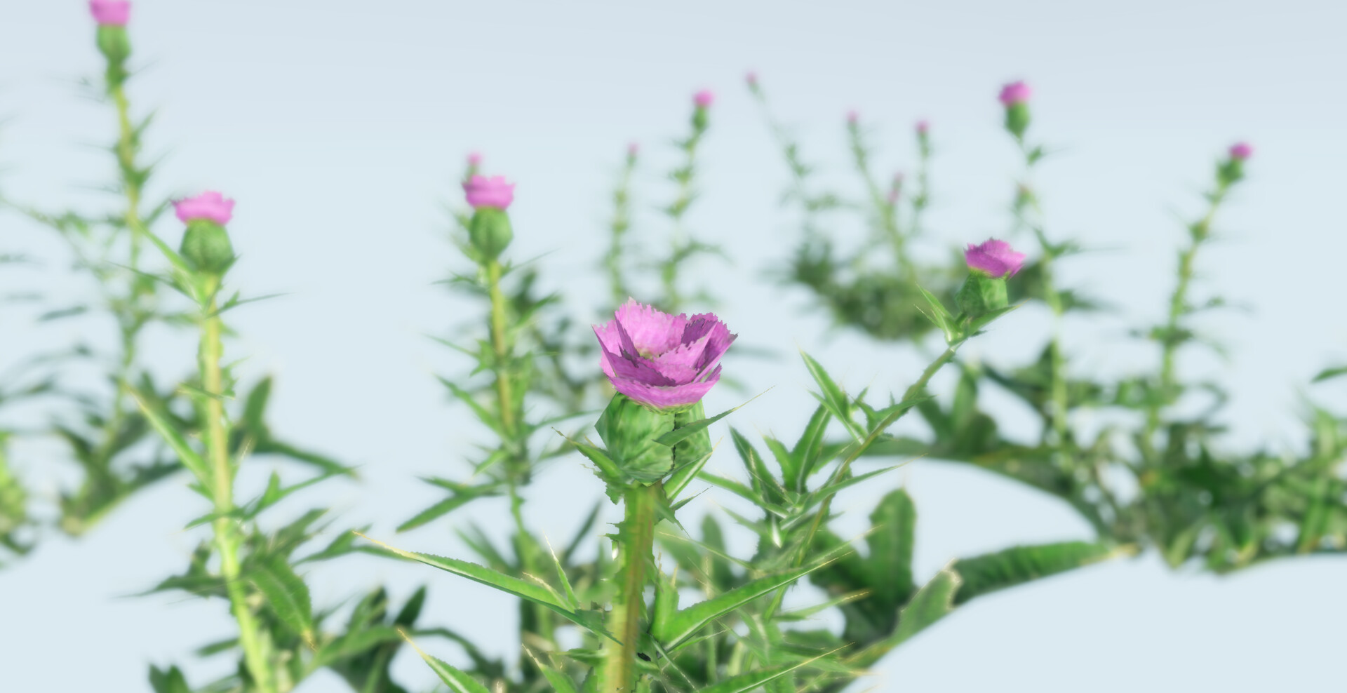 Ashley Lawrence - Warrior Cats Lake Territory - Ground Foliage Assets