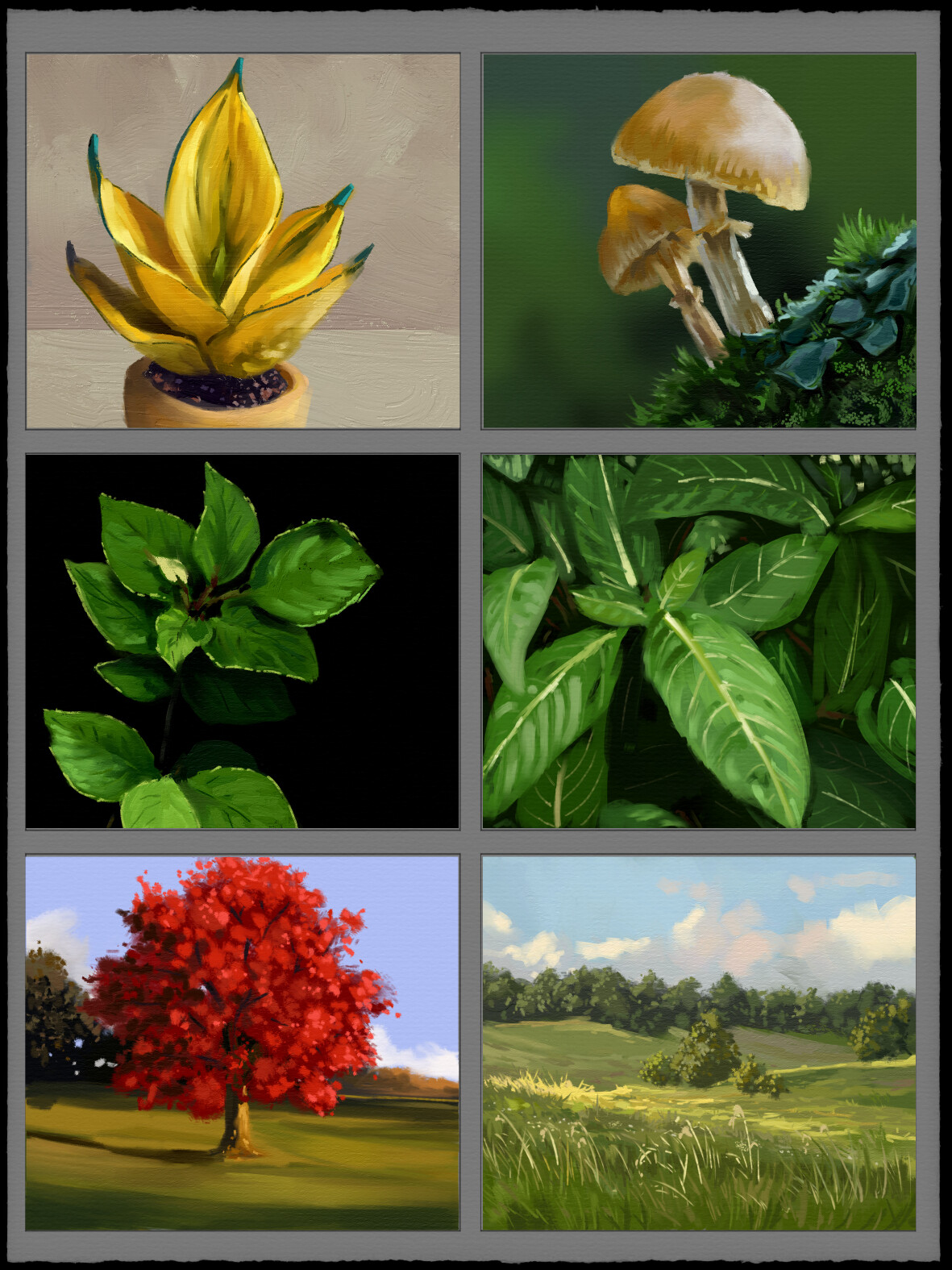 imateria - thumbnail studies