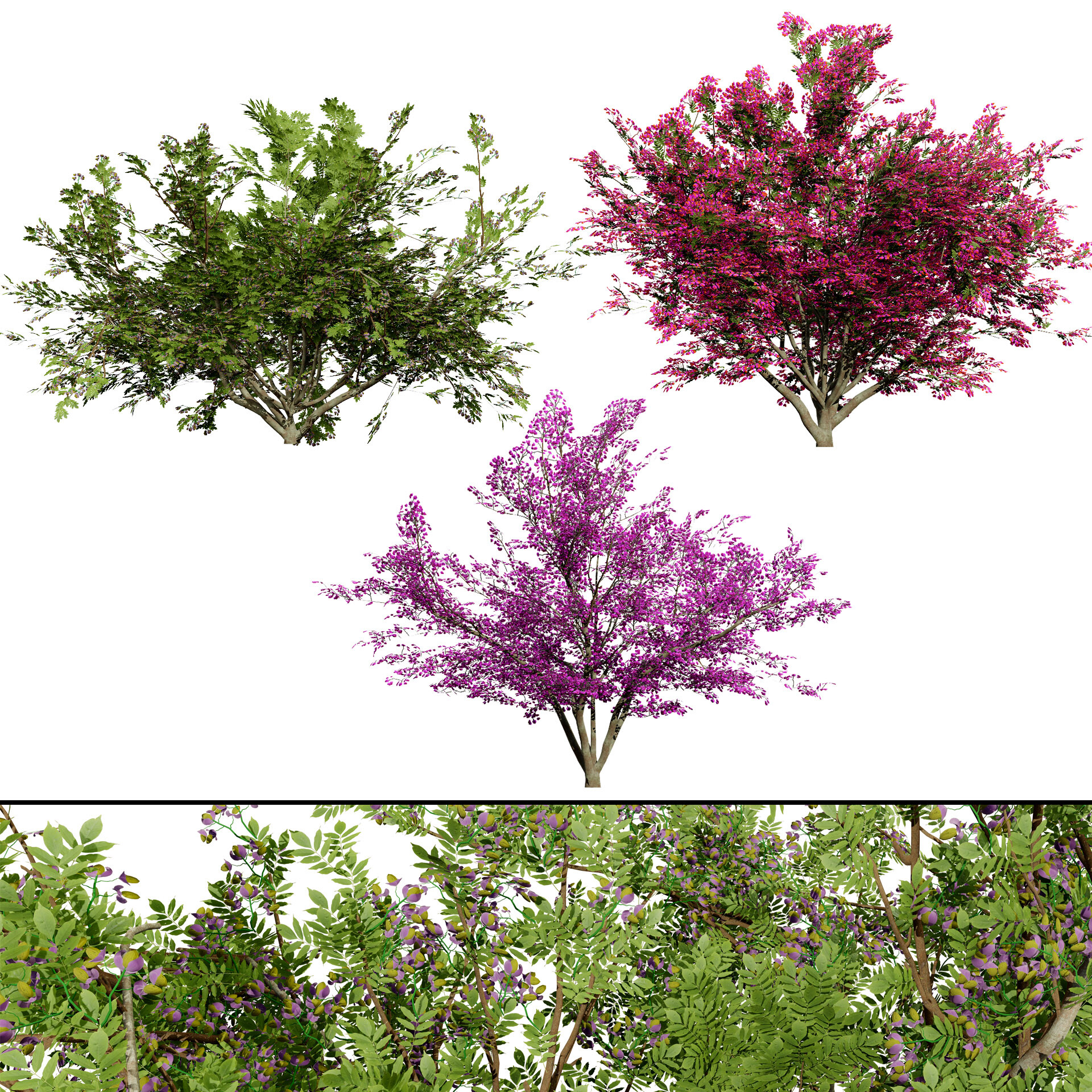 ArtStation - Flowering & Foliage Trees 3D Model Pack
