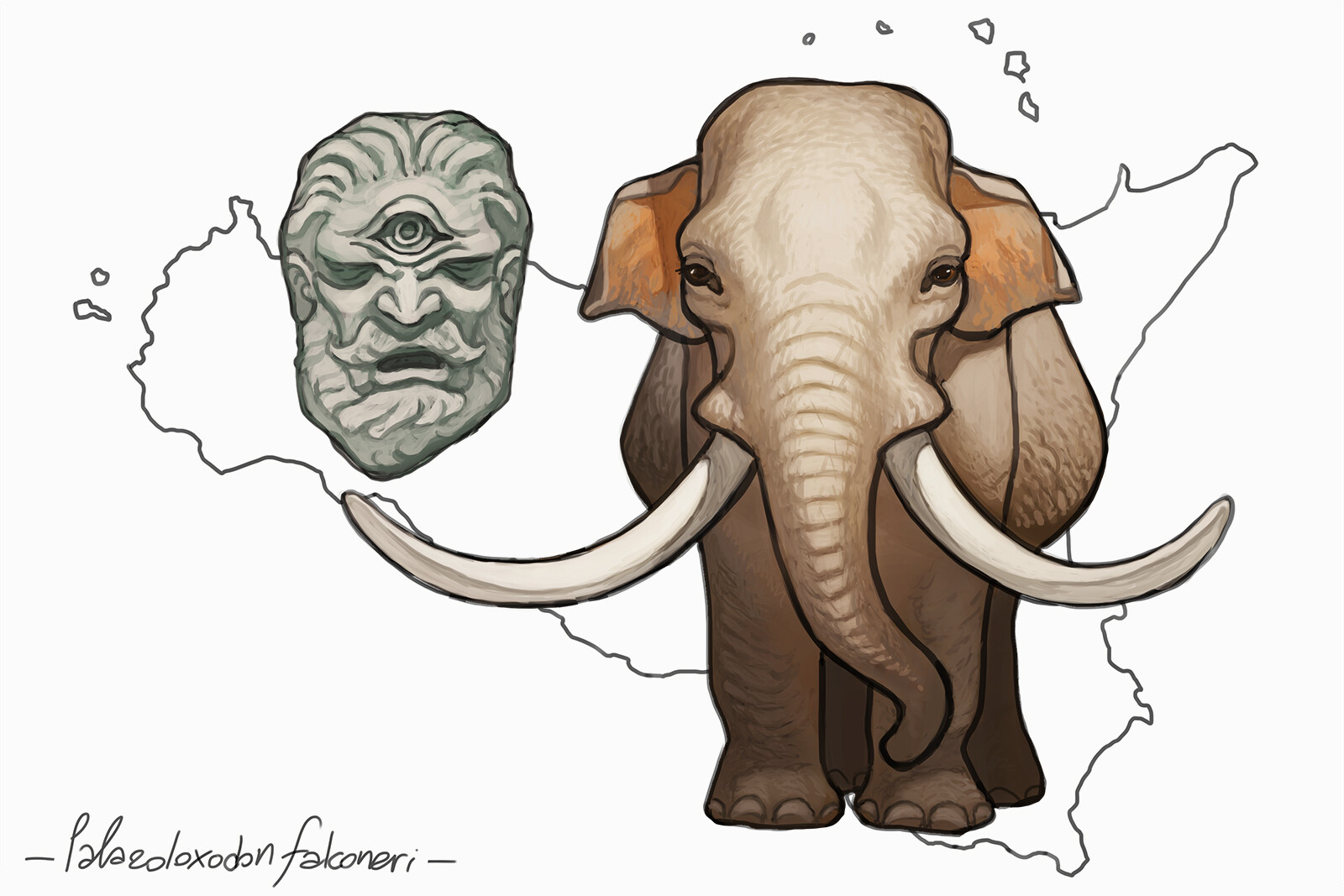 dwarf elephant cyclops