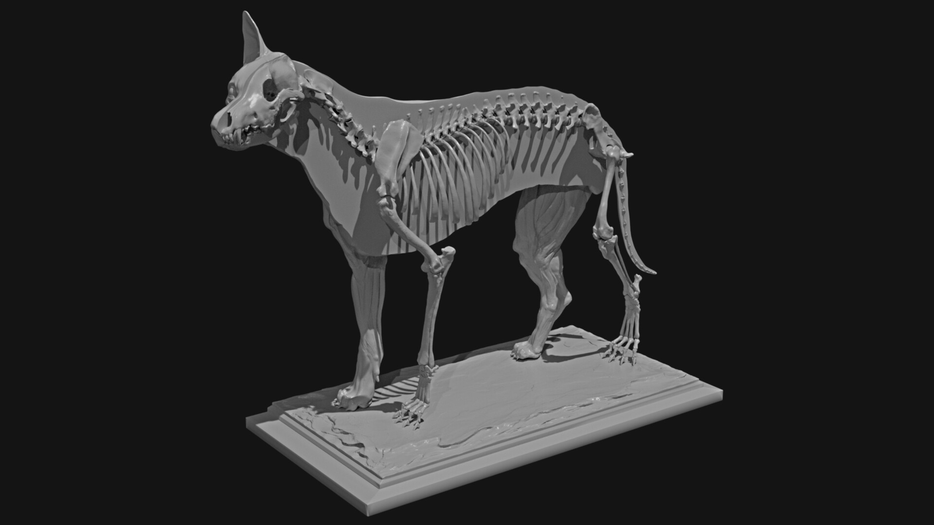 ArtStation - Dog Écorché