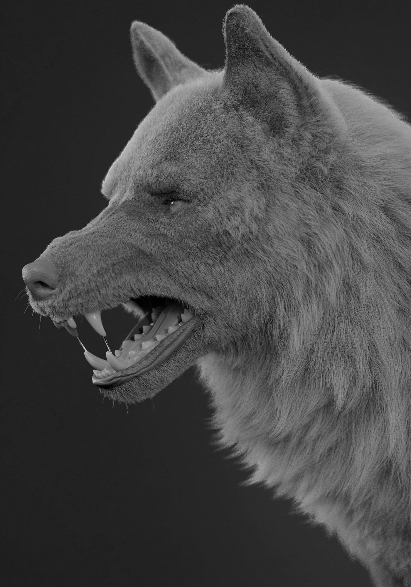Massimo Righi - Mad wolf