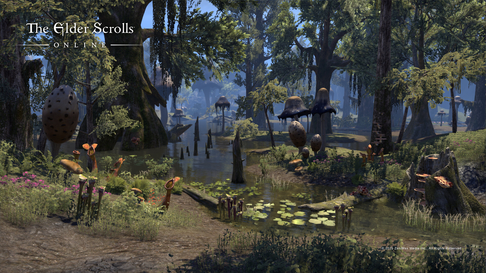 ArtStation - Morrowind zone world building