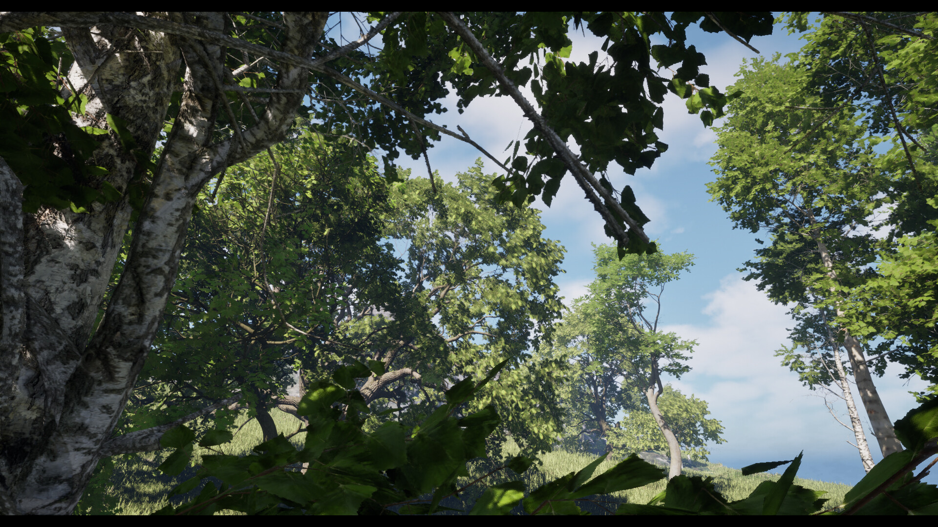 ArtStation - UE5 Nanite Trees