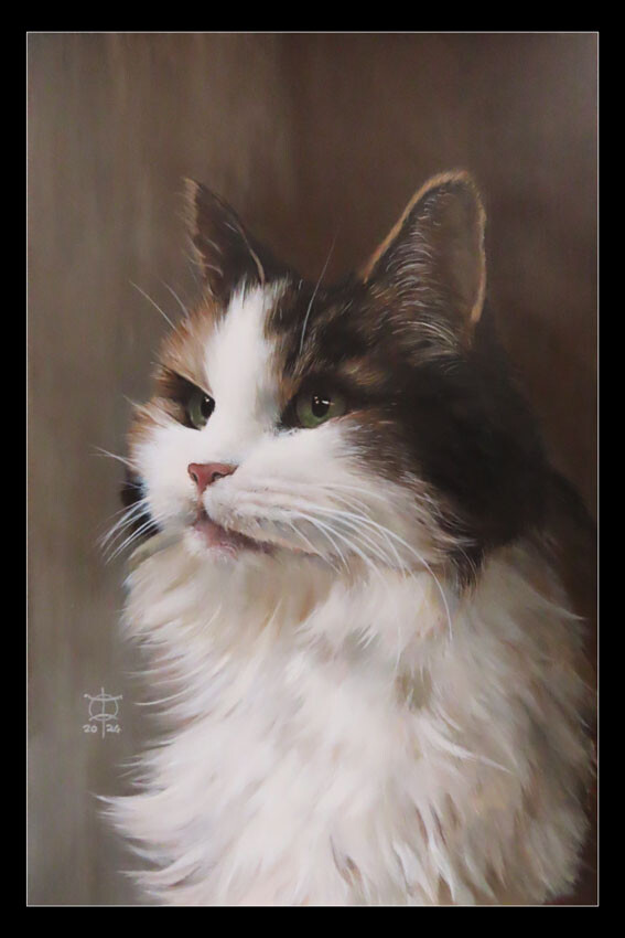 ArtStation - Milly the Cat-Commission-2024