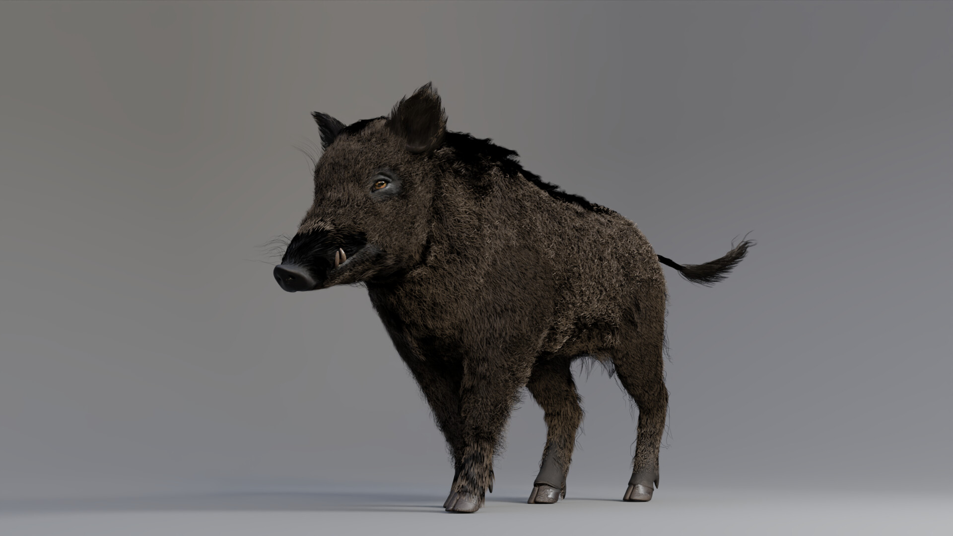 ArtStation - WILD BOAR MODEL