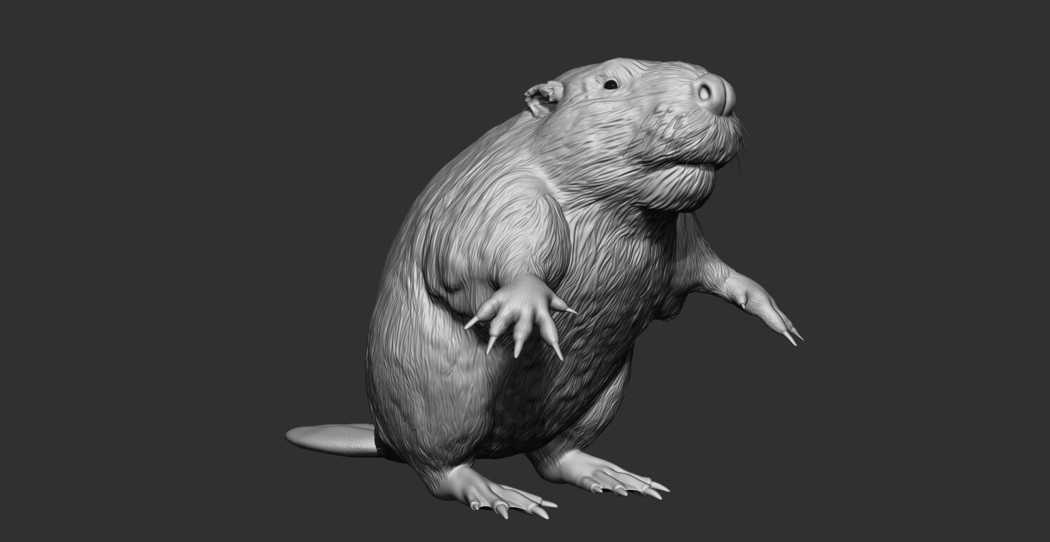 ArtStation - Beaver