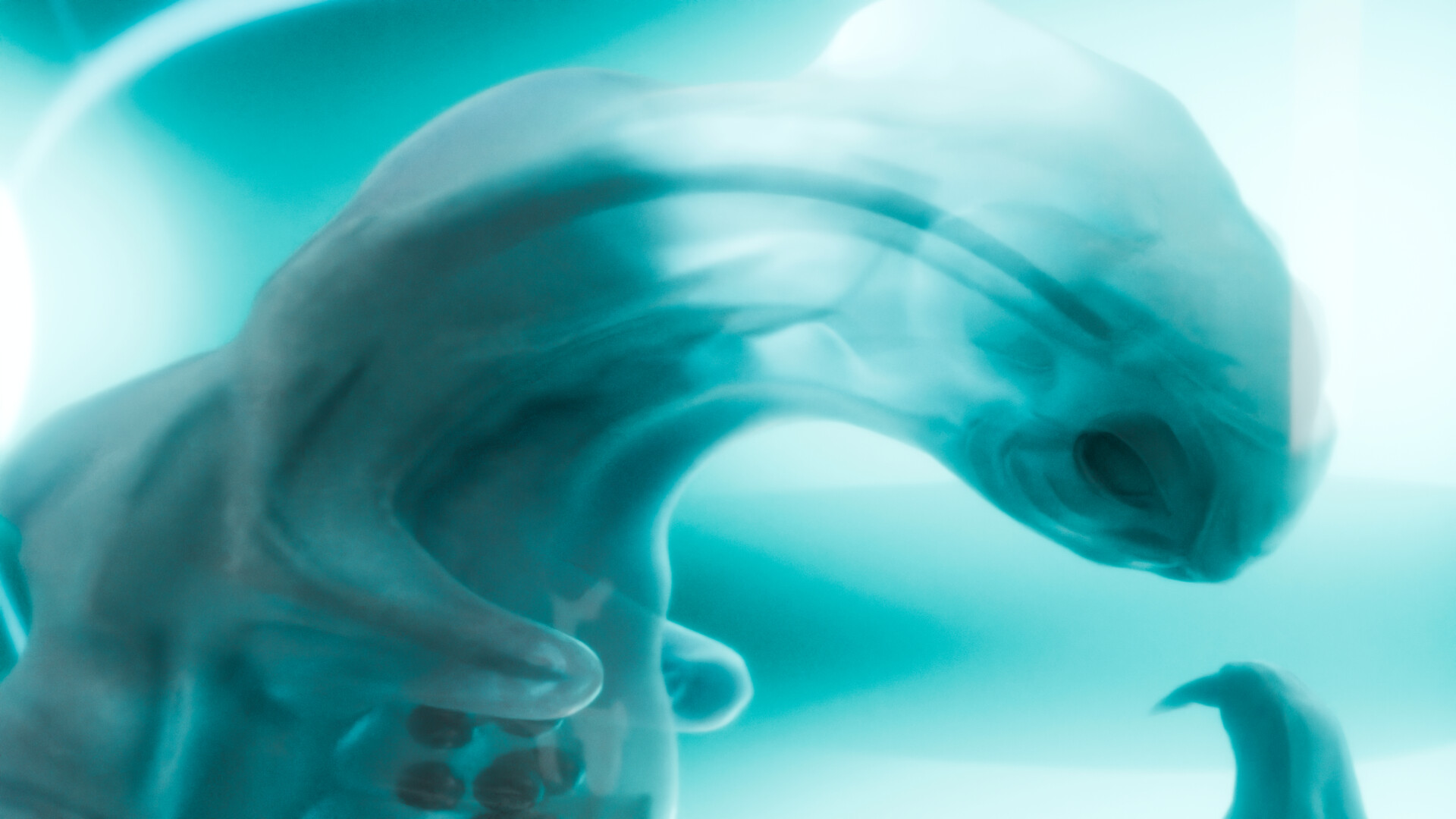 ArtStation - Semi-Transparent Creature Style Test