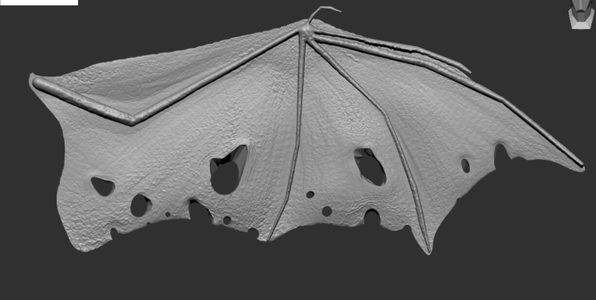 ArtStation - Bat Wing