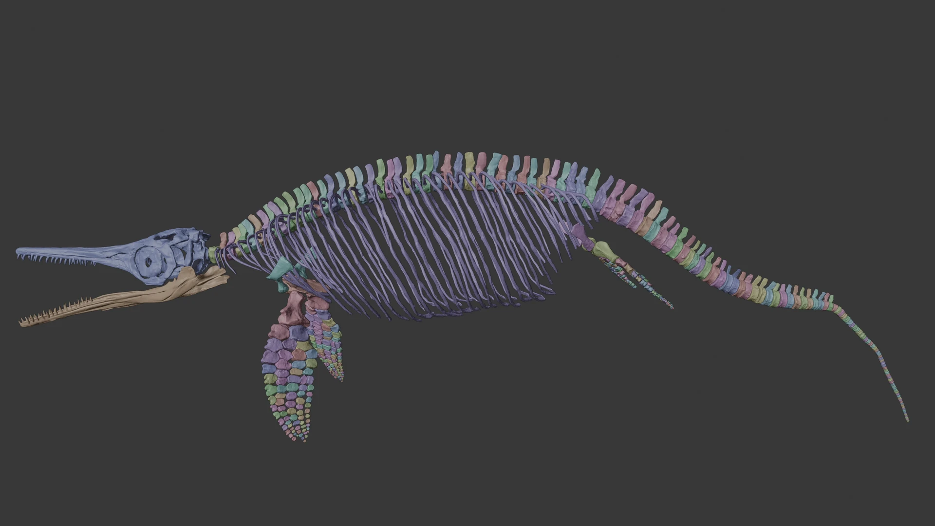 ophthalmosaurus skeleton