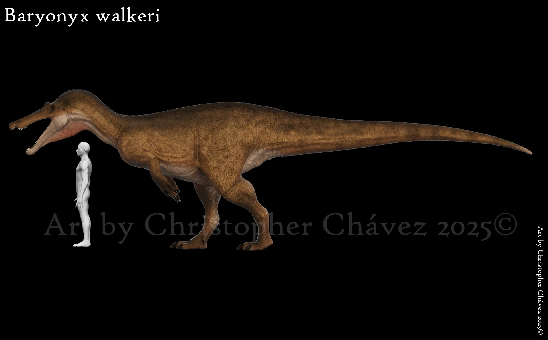 baryonyx size