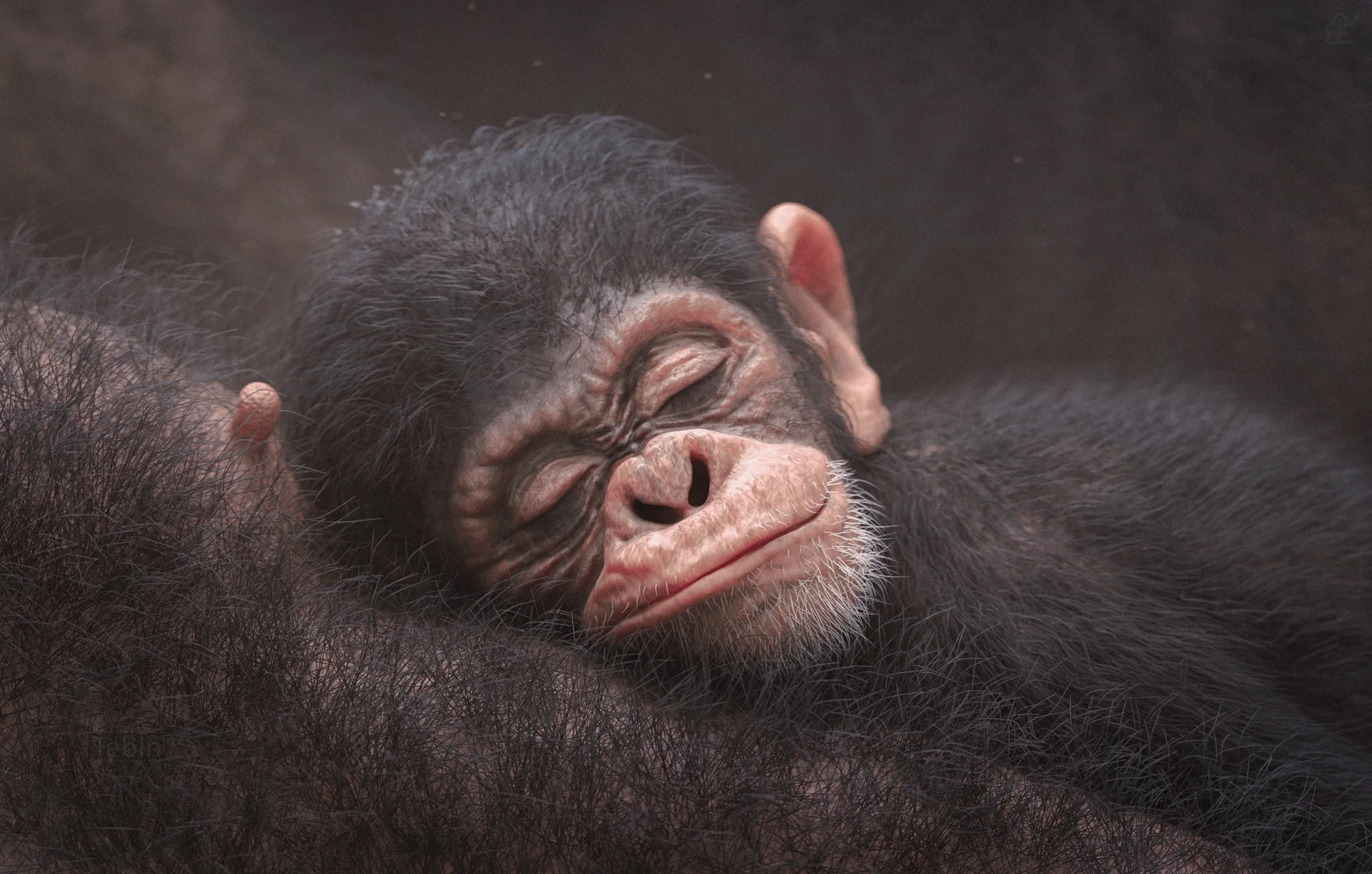 ArtStation - Sleeping Chimpanzee