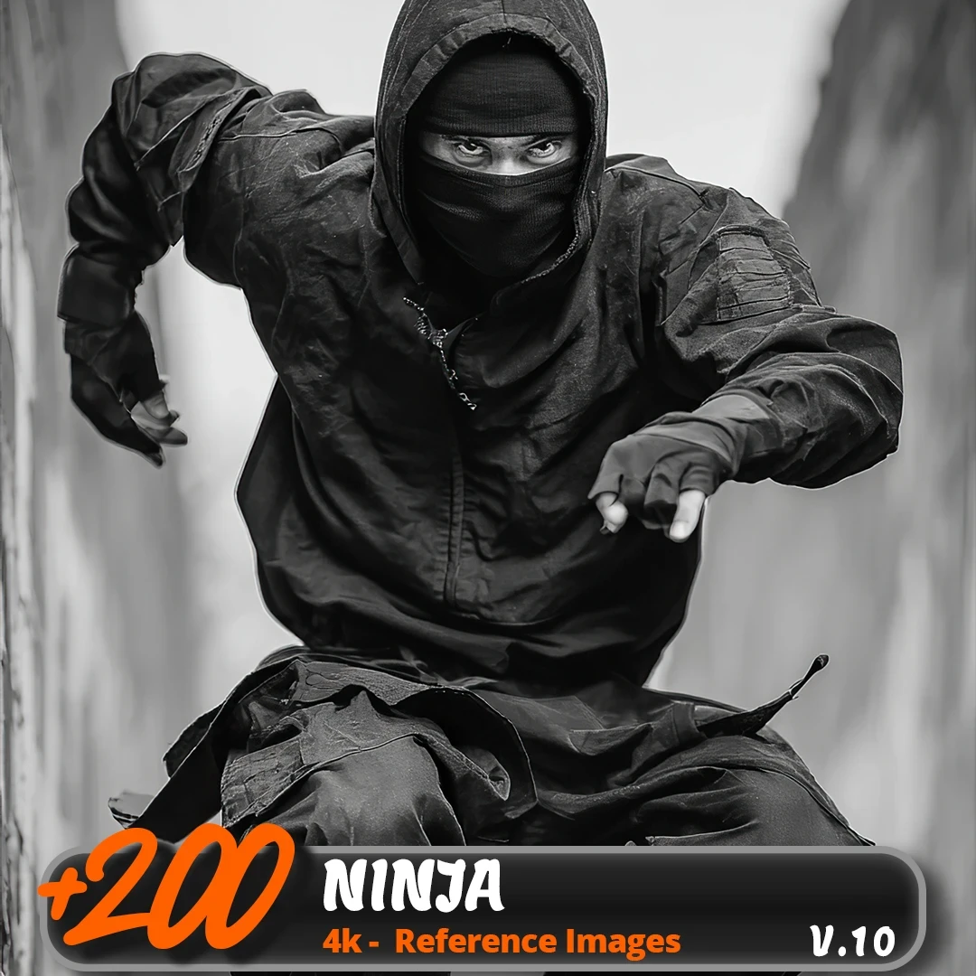ArtStation - NINJA VOL .10/ 4K/ Reference Image