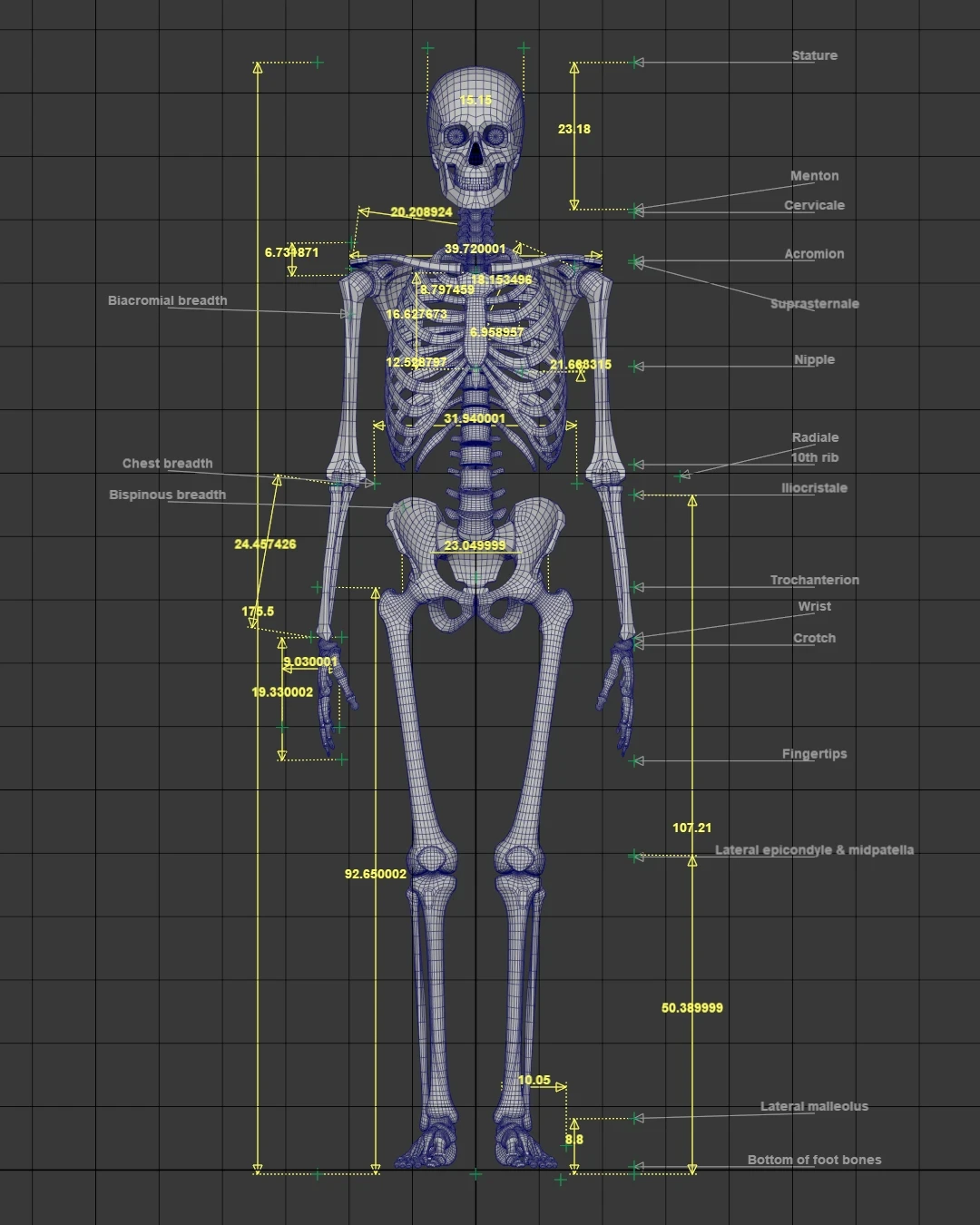 ArtStation - Skeleton Modeling