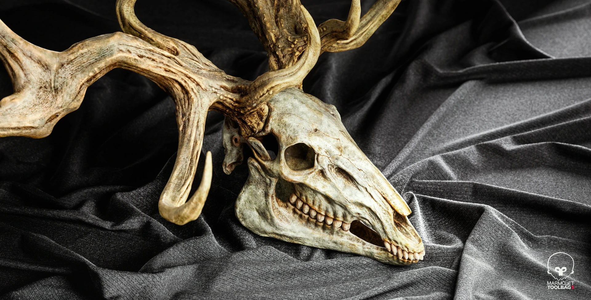 ArtStation - The Silent Crown