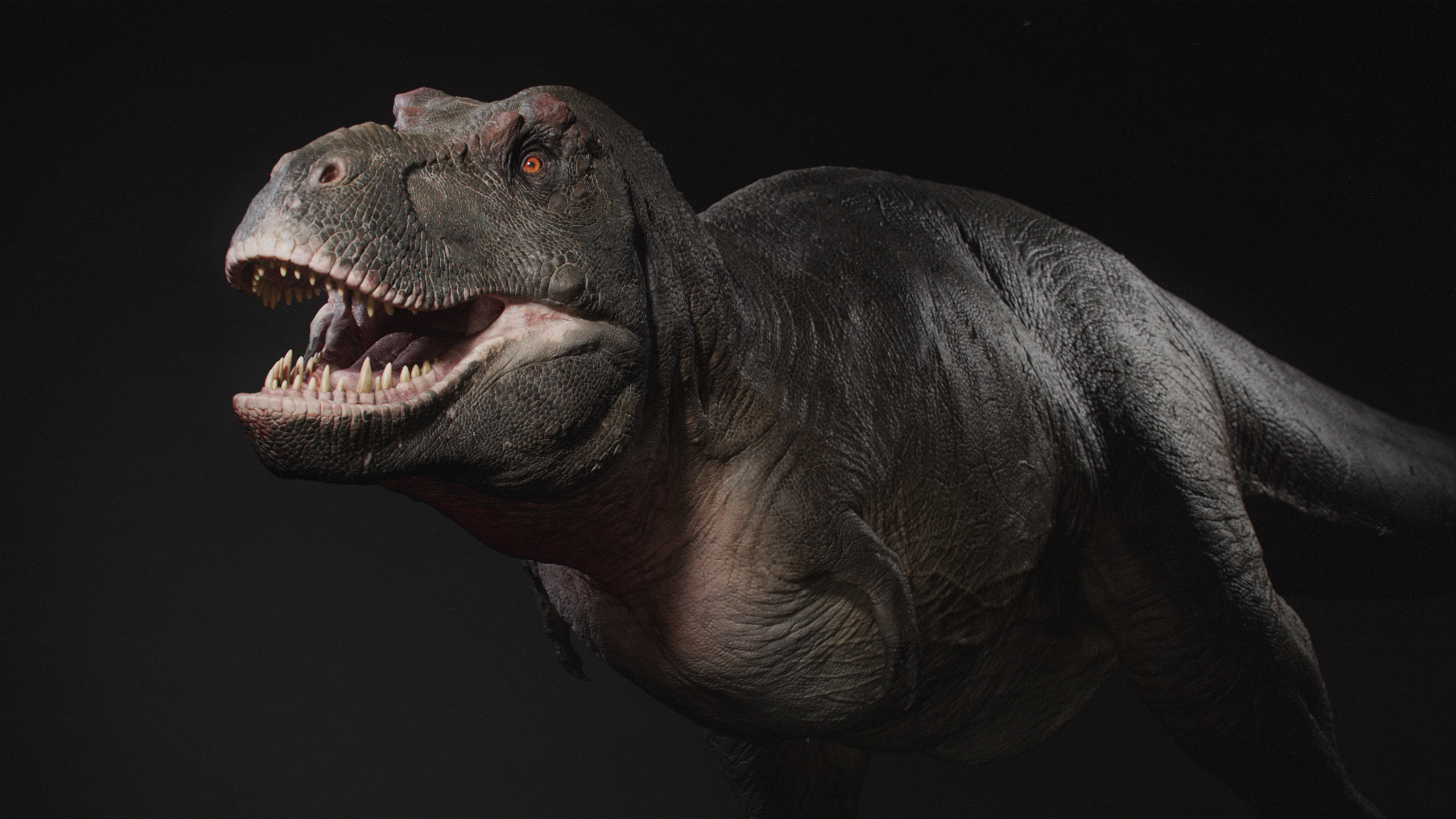 Black Hills Institute/Dr. Peter Larson on why T-Rex didn't have lips ...