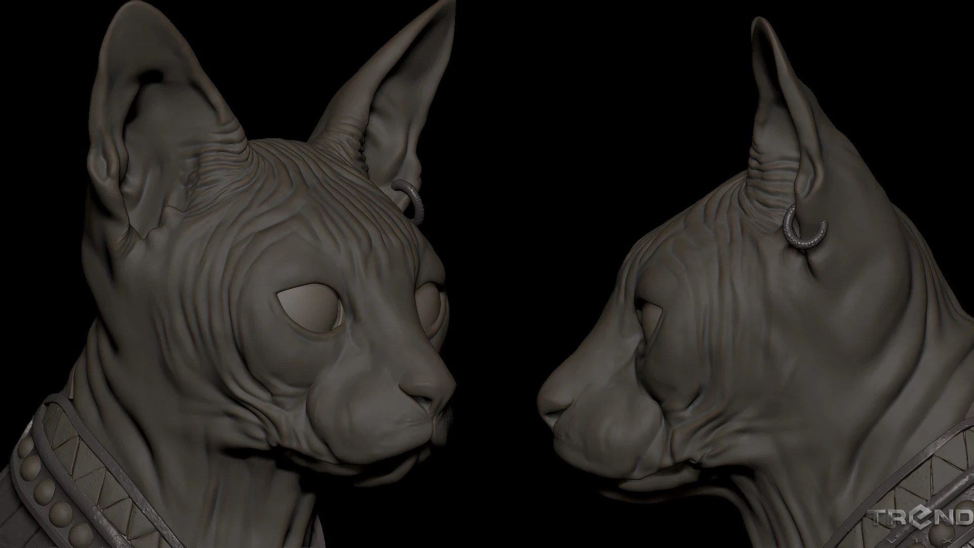 ArtStation - Sphynx Cat