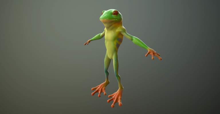 ArtStation - Tree Frog