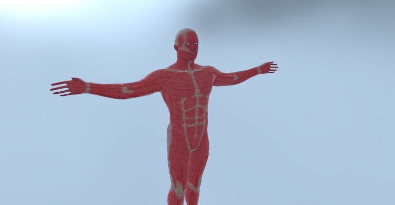 ArtStation - human_skinned