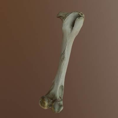 Stephen Jeal - Portfolio