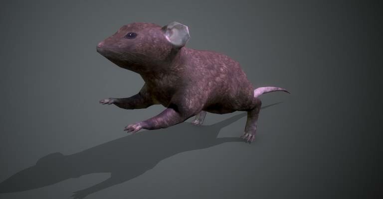 ArtStation - Mouse Animation