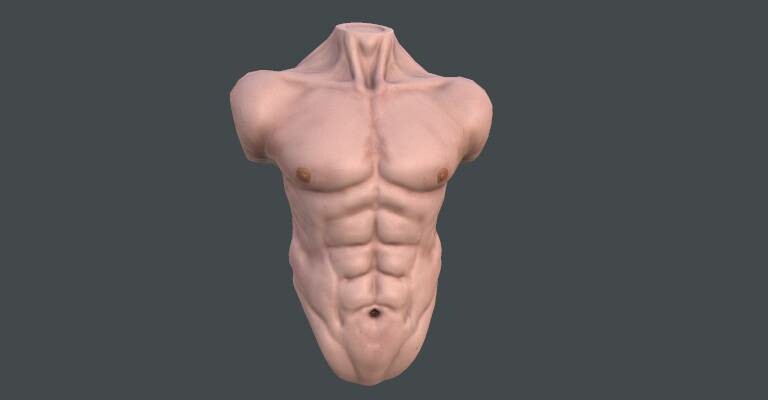 ArtStation - Abdomen_Anatomy_Practice