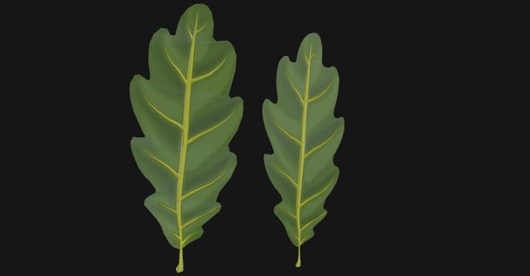 ArtStation - Oak Tree leaves
