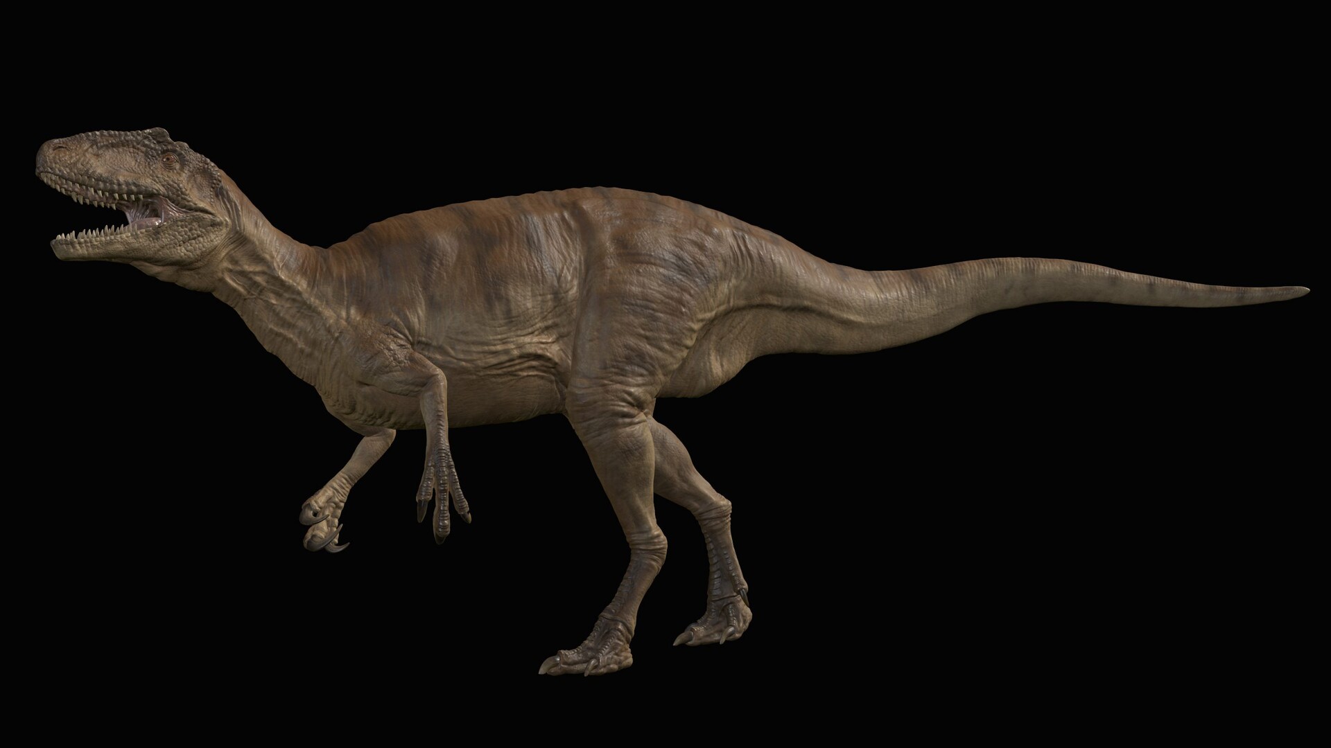 Fukui Dinosaurs - Fukuiraptor