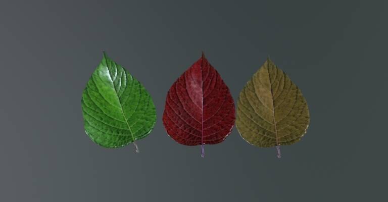 ArtStation - Autumn Leaves