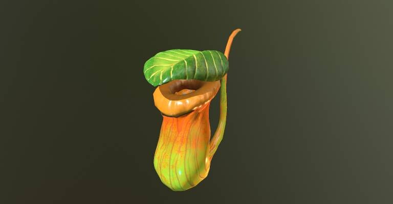 ArtStation - Hidden World_Pitcher Plant